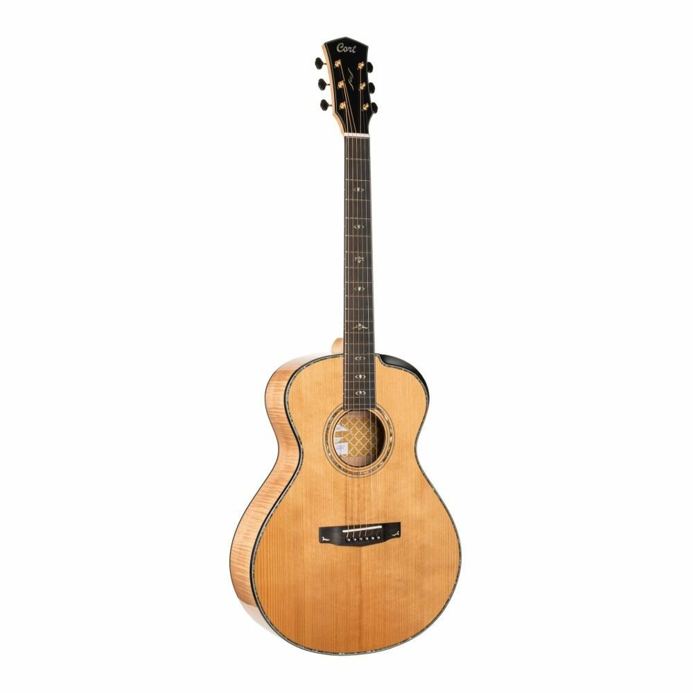 Акустическая гитара Cort Gold-Passion-WCASE-NAT Gold Series, со звукоснимателем