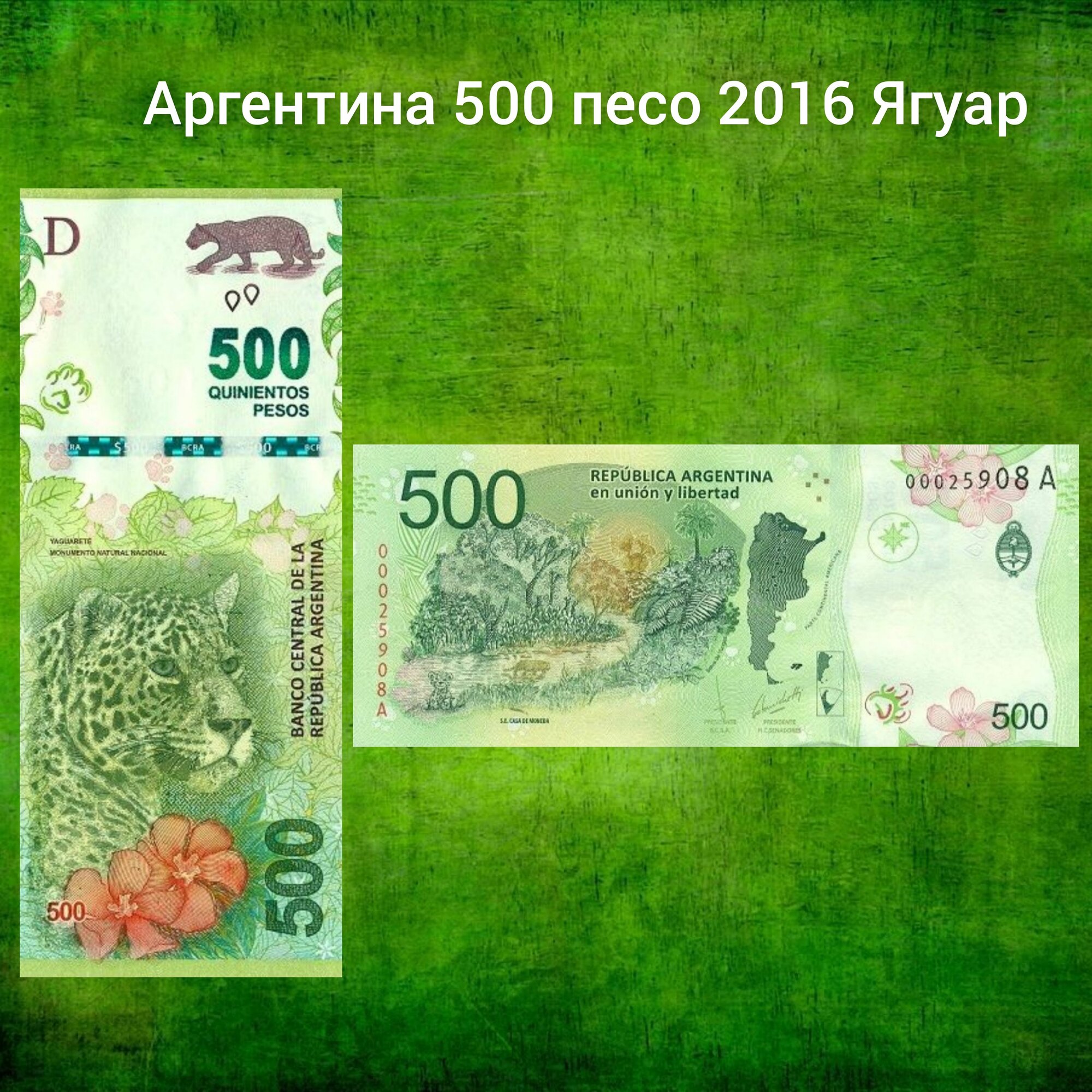 Аргентина 500 песо 2016 Ягуар UNC