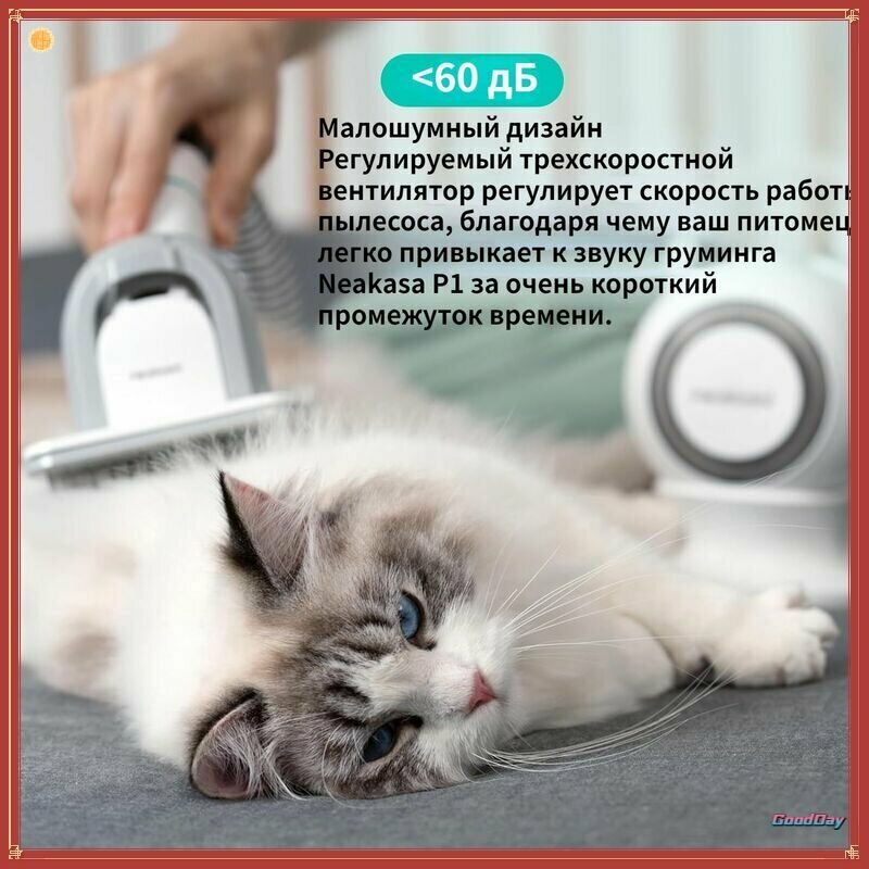 Набор для груминга — фото 1