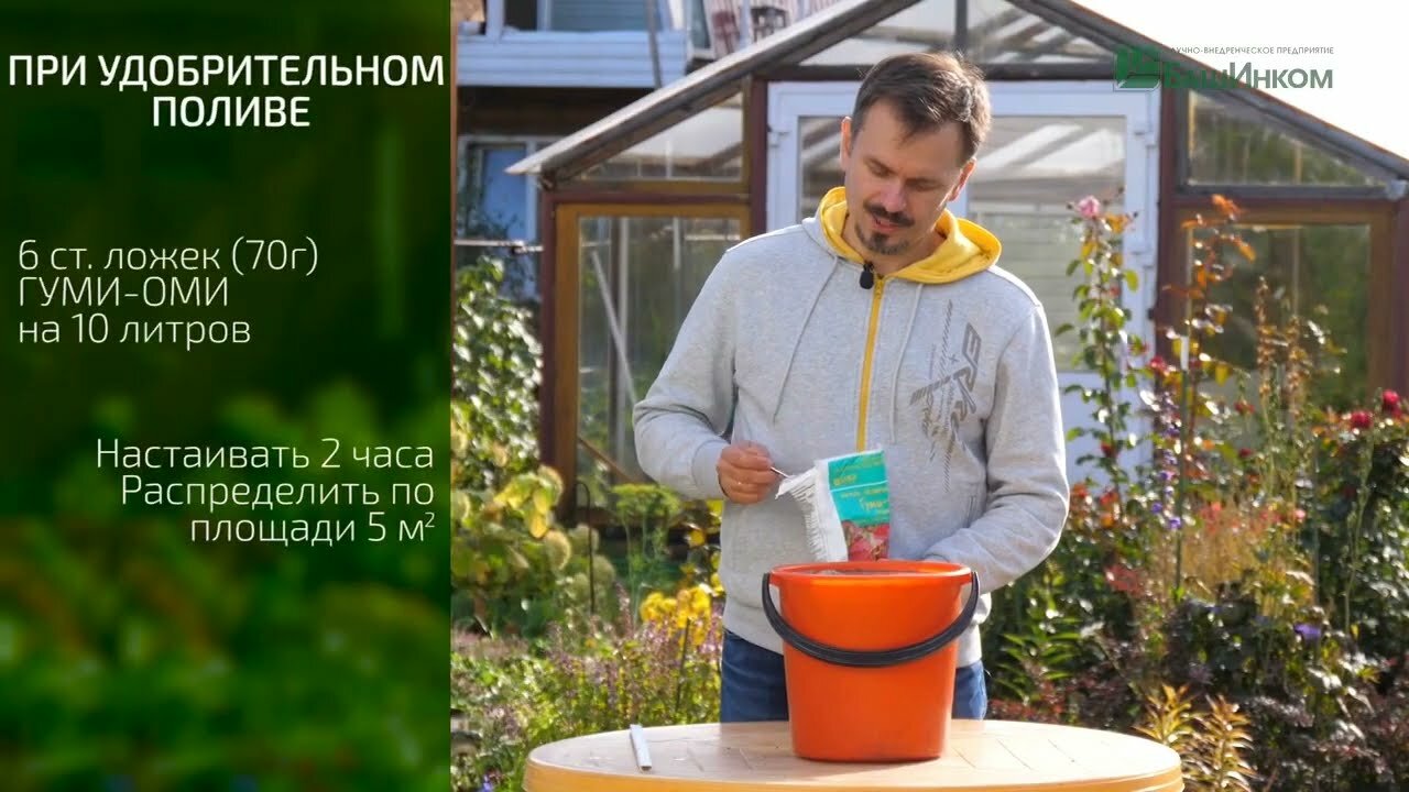 Удобрение Гуми-Оми земляника, клубника, малина, смородина ОЖЗ Кузнецова 700 г
