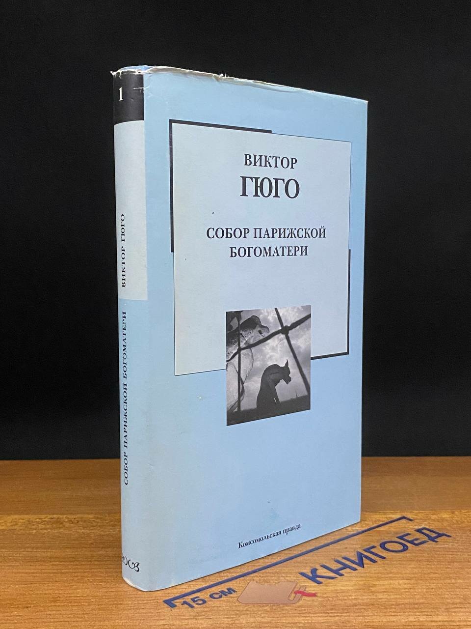 Книга. В. Гюго. Том 1. Собор Парижской Богоматери 2006 (2042790655815)