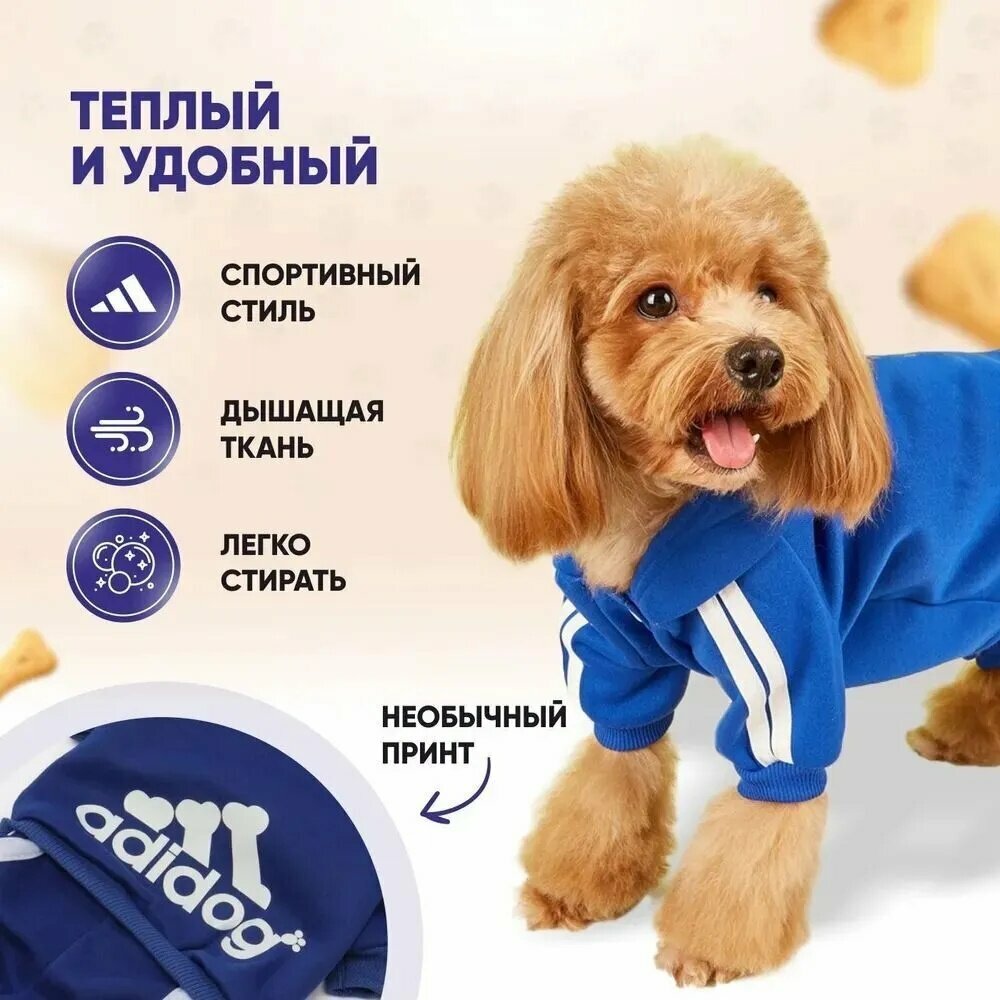 Adidog, Комбинезон для домашних животных, Одежда для собак, Спортивная куртка для собак, Костюм кошки(M, синий)