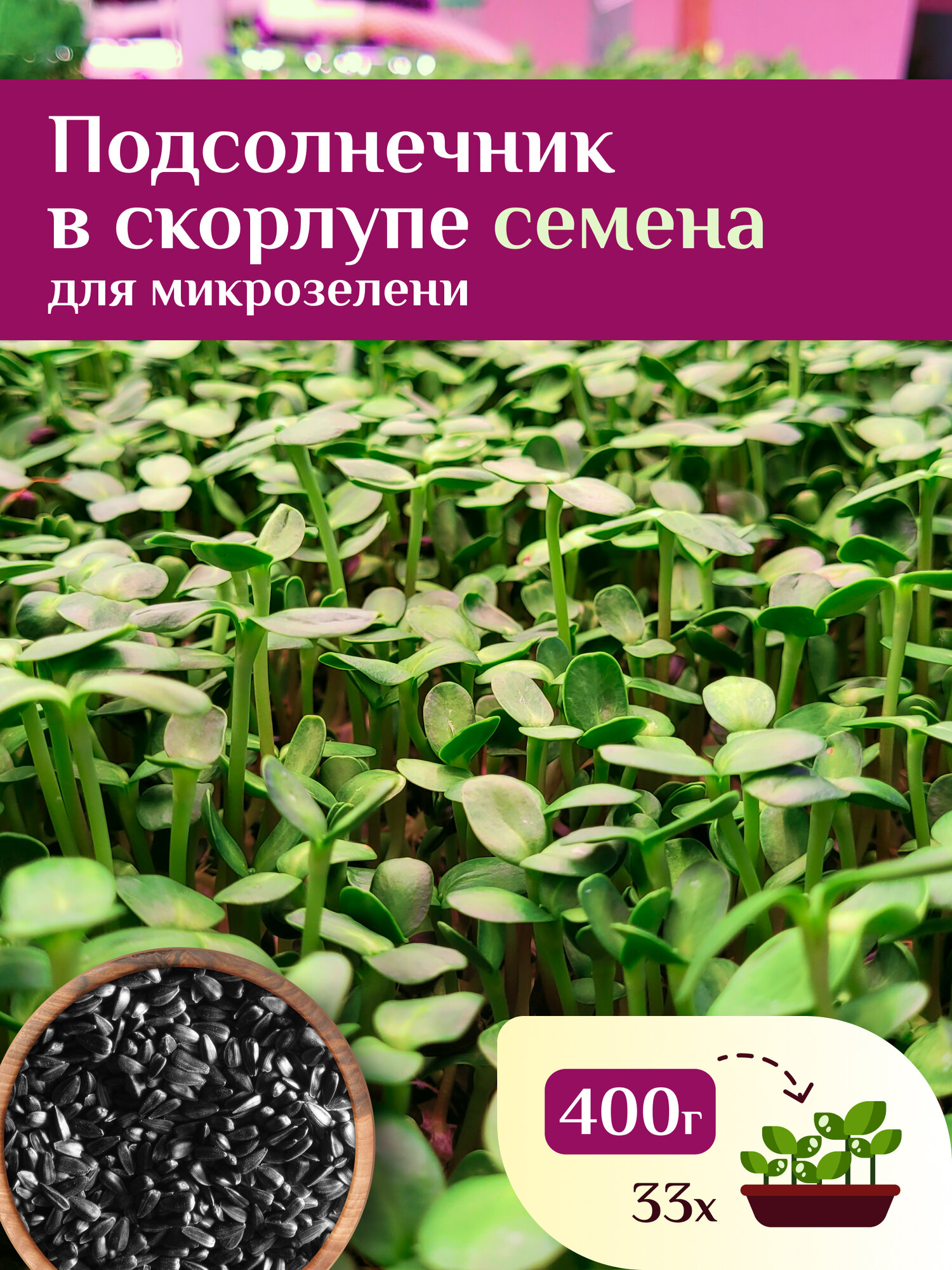 Подсолнечник в скорлупе семена микрозелени, Ильинские проростки 400г