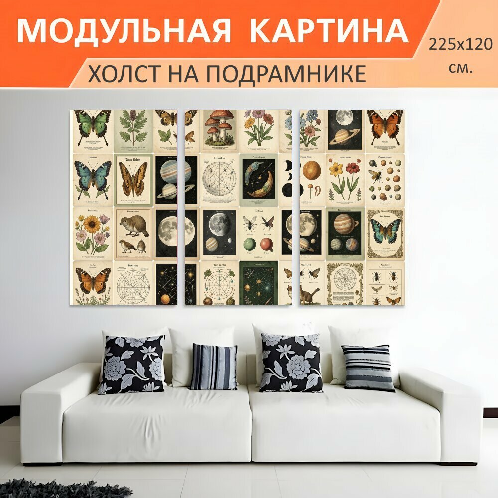 Модульная картина на холсте "Набор винтажных природных иллюстраций. Старинные ботанические и астрономические рисунки с бабочками." триптих на подрамнике 225х120 см. для интерьера