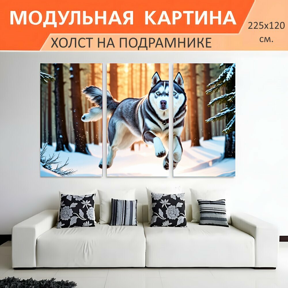 Модульная картина на холсте "Собака хаски, прыгающая в снежном зимнем лесу, солнечный свет пробивается через деревья, снег летит." триптих на подрамнике 225х120 см. для интерьера