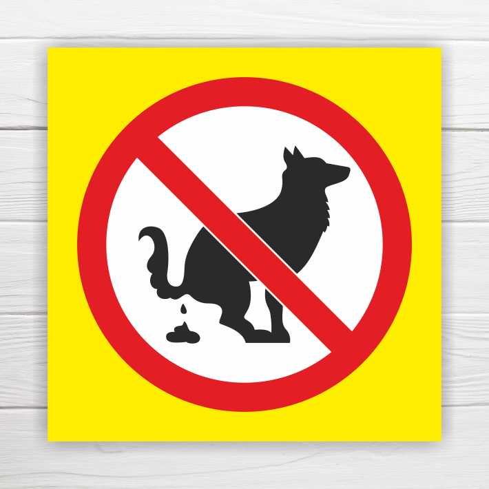 Табличка "Выгул собак запрещен", 25х25 см, ПВХ