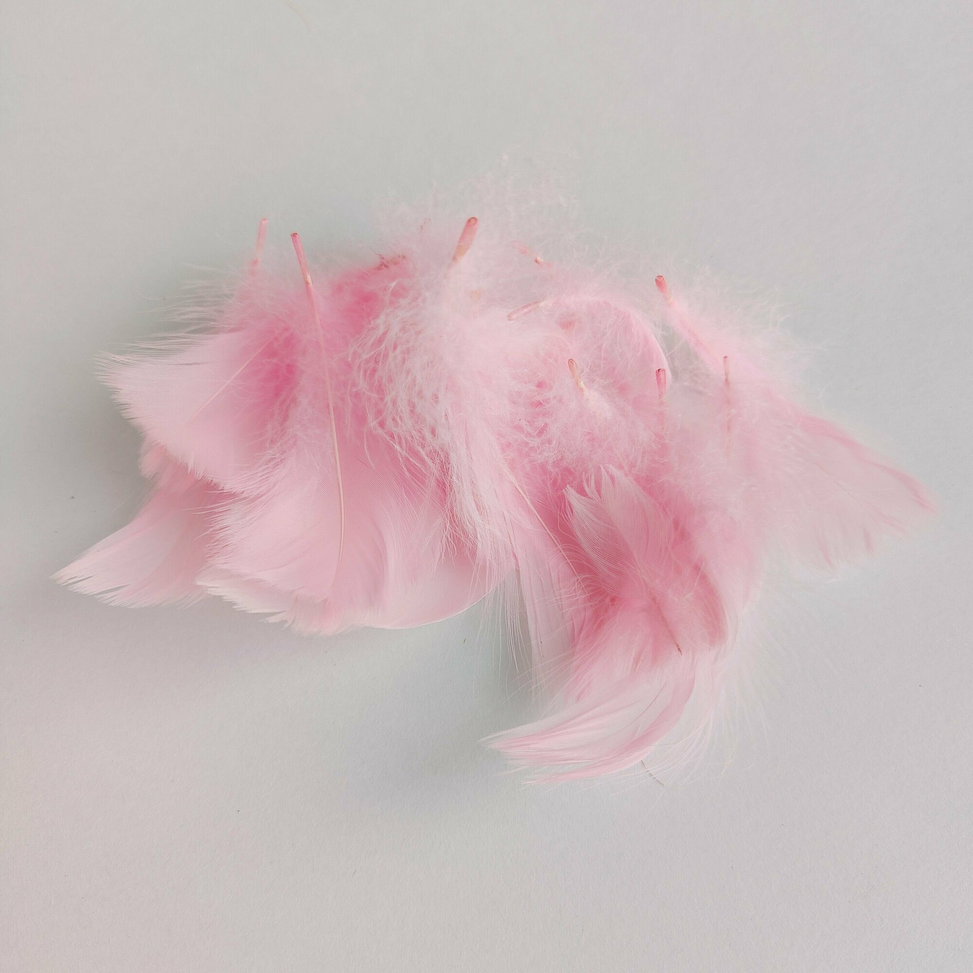 Перья декор розовые №11, 100 штук