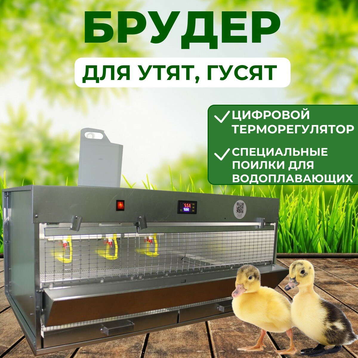 Брудер для утят и гусят автоматический на 45 голов