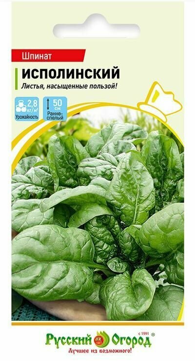 Шпинат Исполинский — фото 1