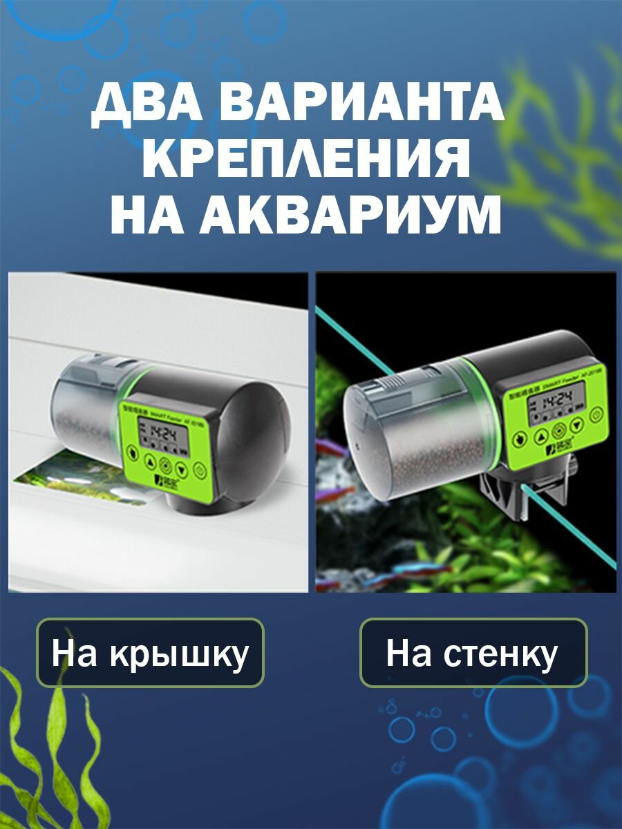 Автокормушка — фото 1
