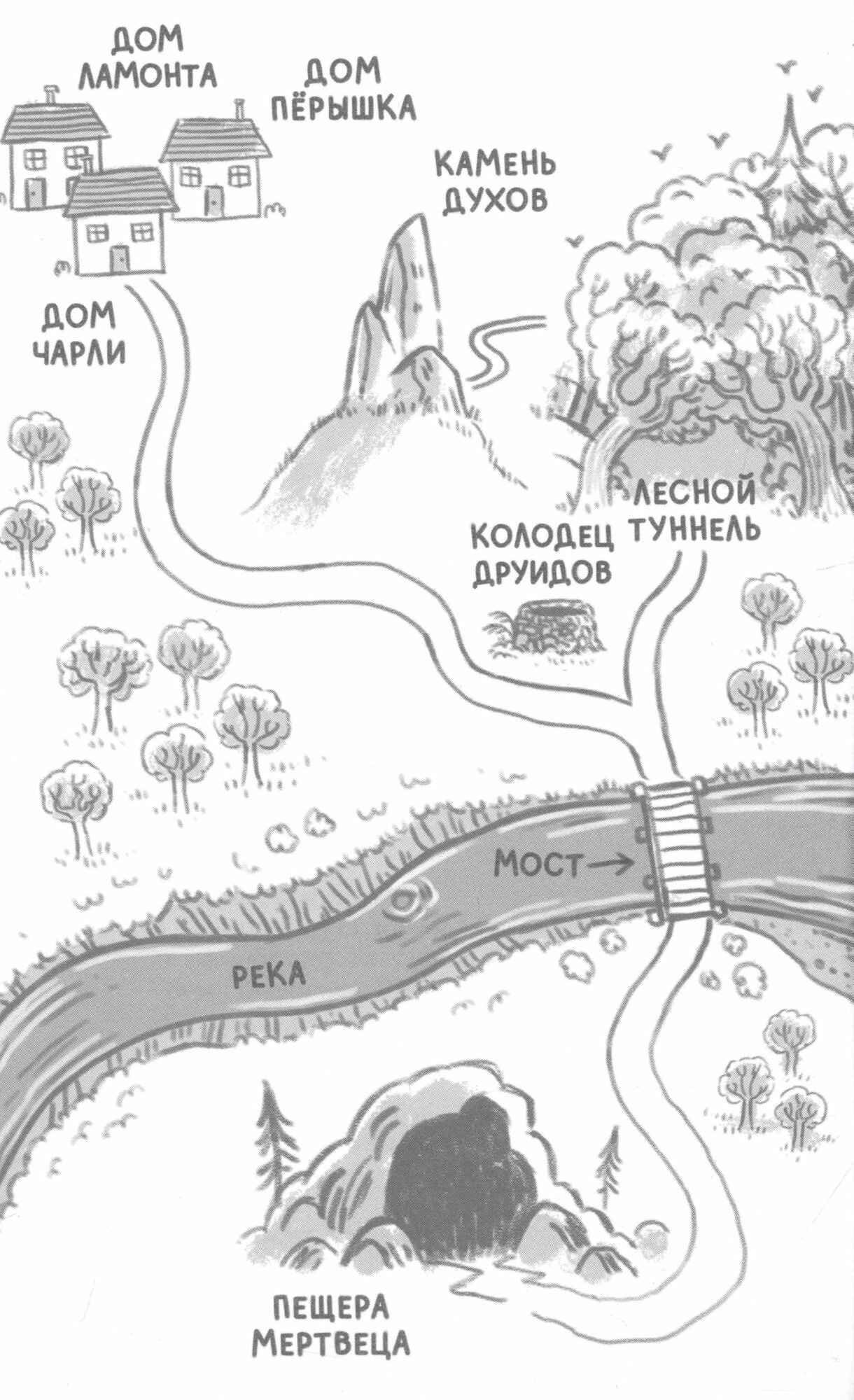 Дикий путь домой — фото 1