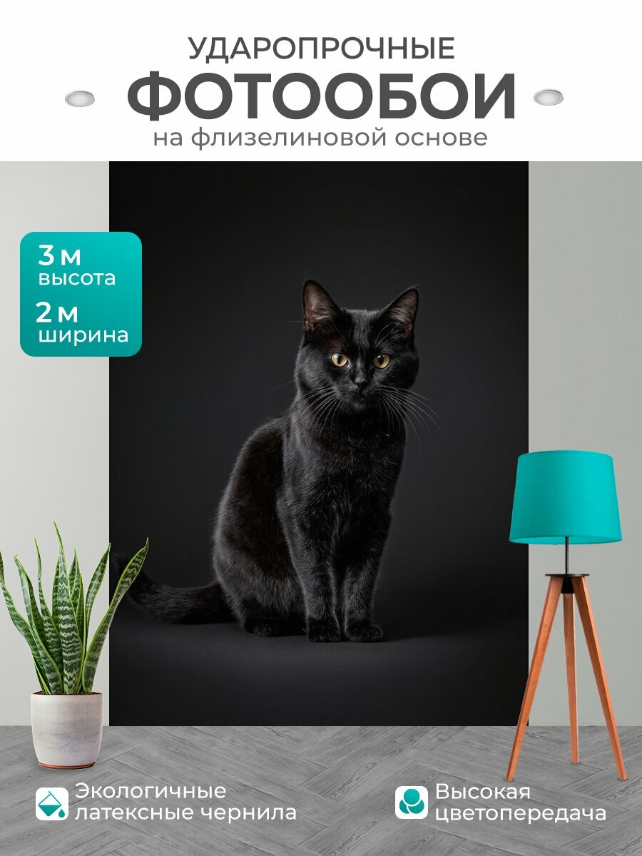 Фотообои моющиеся ударопрочные "6. черный" 200x300 см. флизелиновые на стену