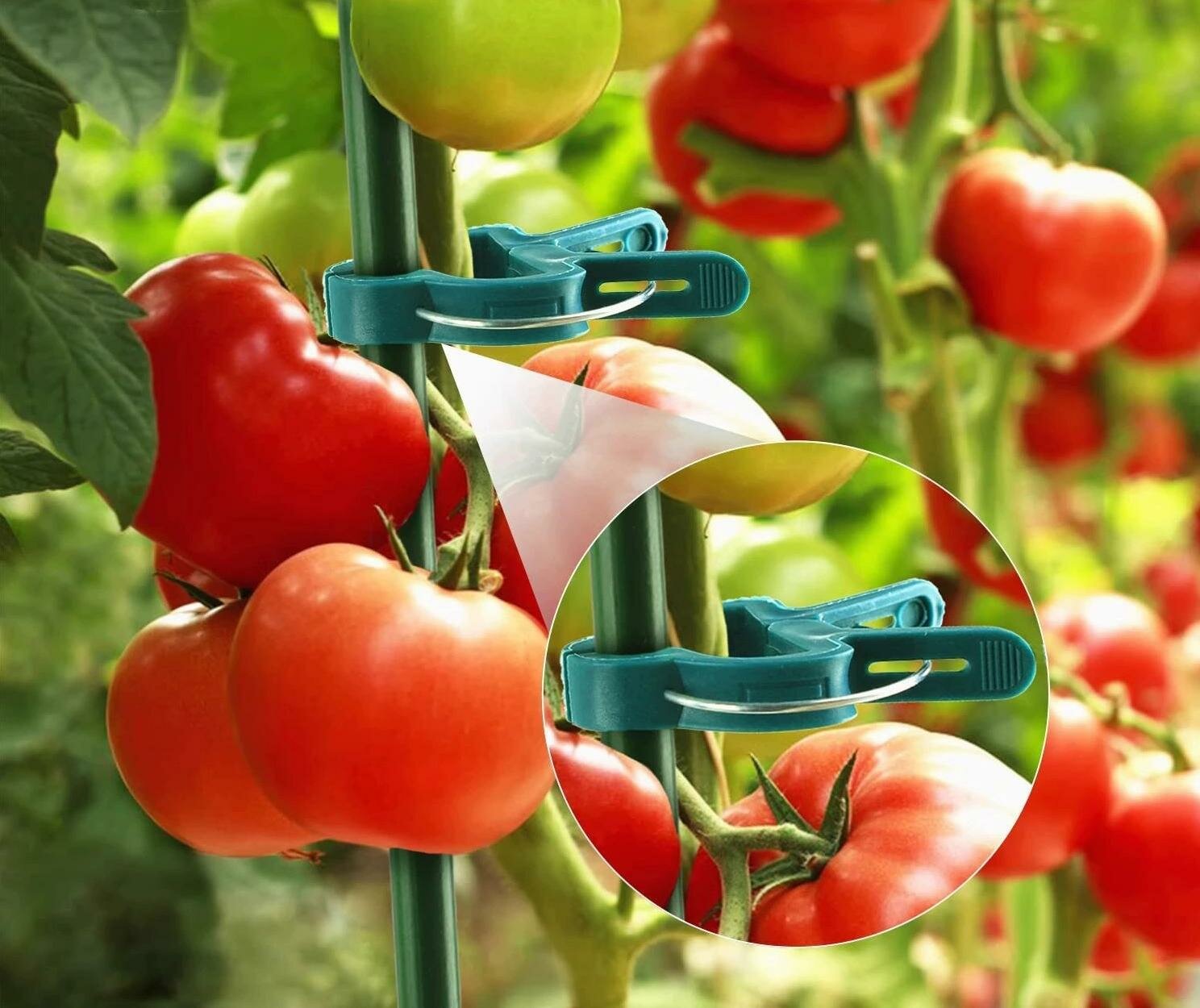 Садовый фаленопсис, садовый зажим для томатов, пластиковый зажим для садовых инструментов