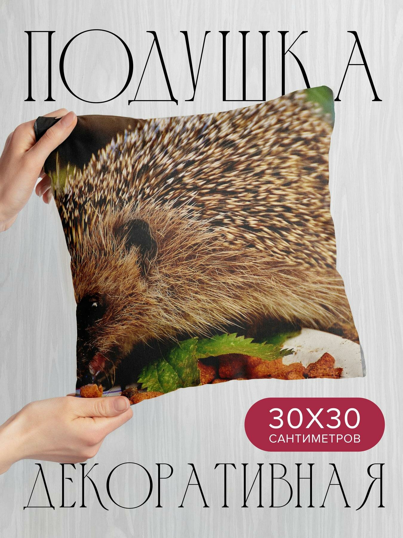 Подушка декоративная, 30x30см / Животные / еж / колючки