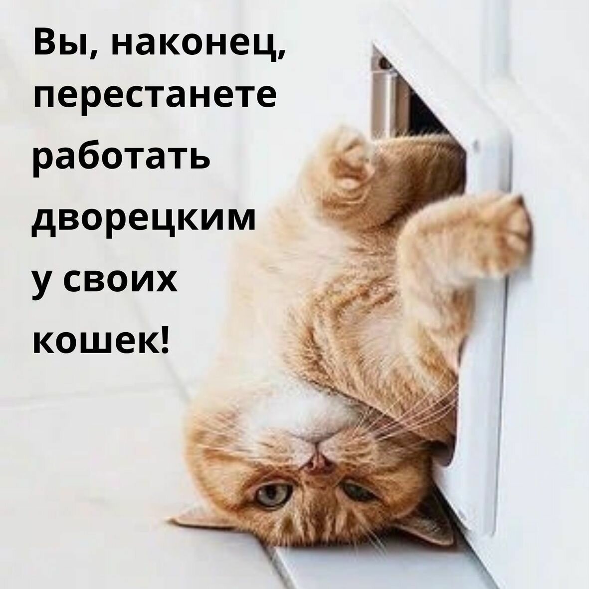Дверца для животных — фото 1