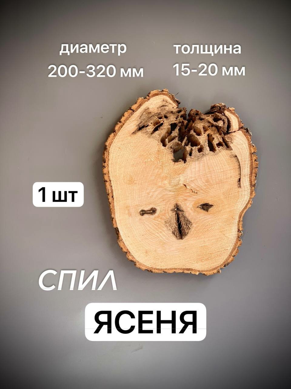 Спил Ясеня, диаметр 20-32 см, толщина 1.5-2 см, 1шт