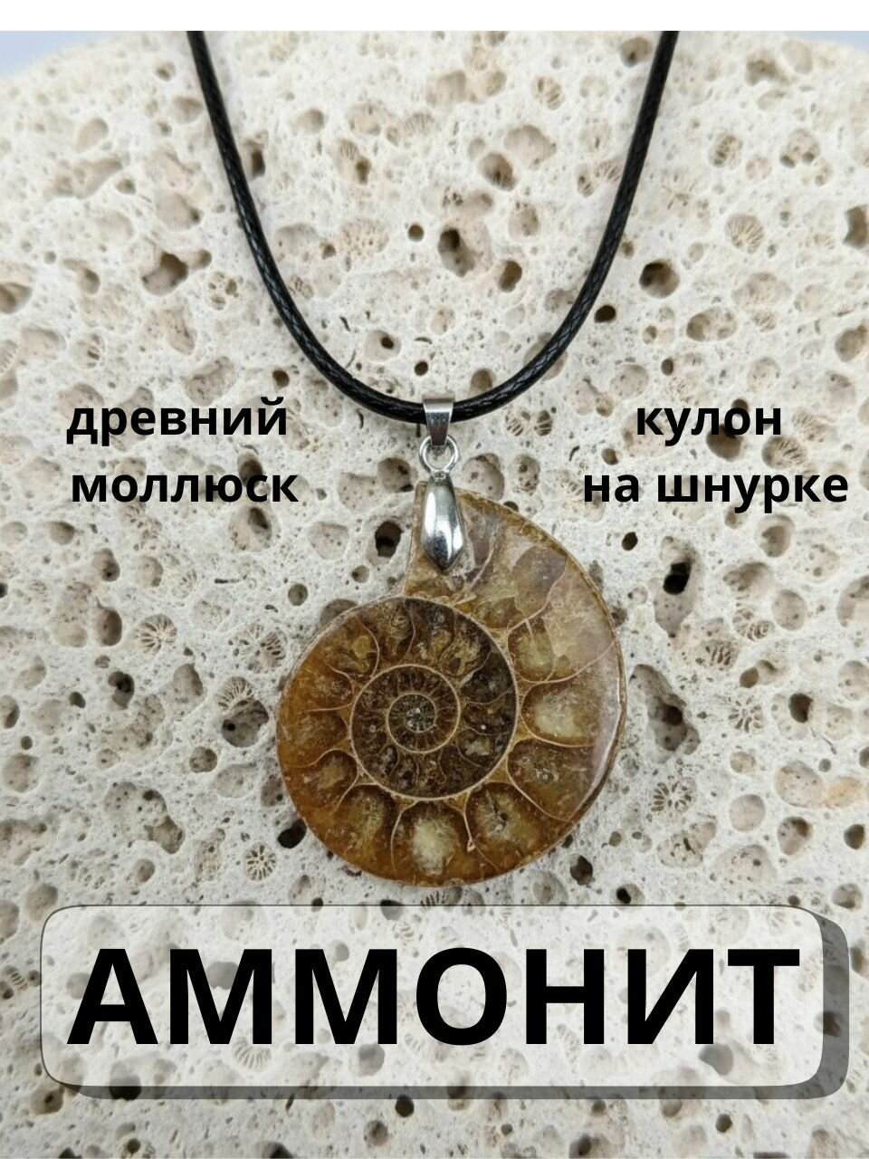 Аммонит кулон жеода из натурального моллюска