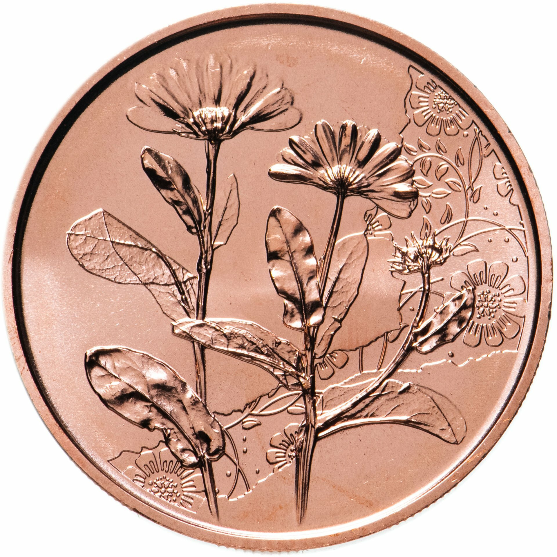 Австрия 10 евро 2022 Язык цветов - Бархатцы, Медь, в сохранности UNC