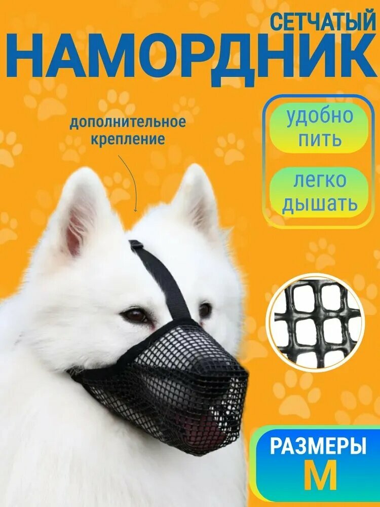 Намордник