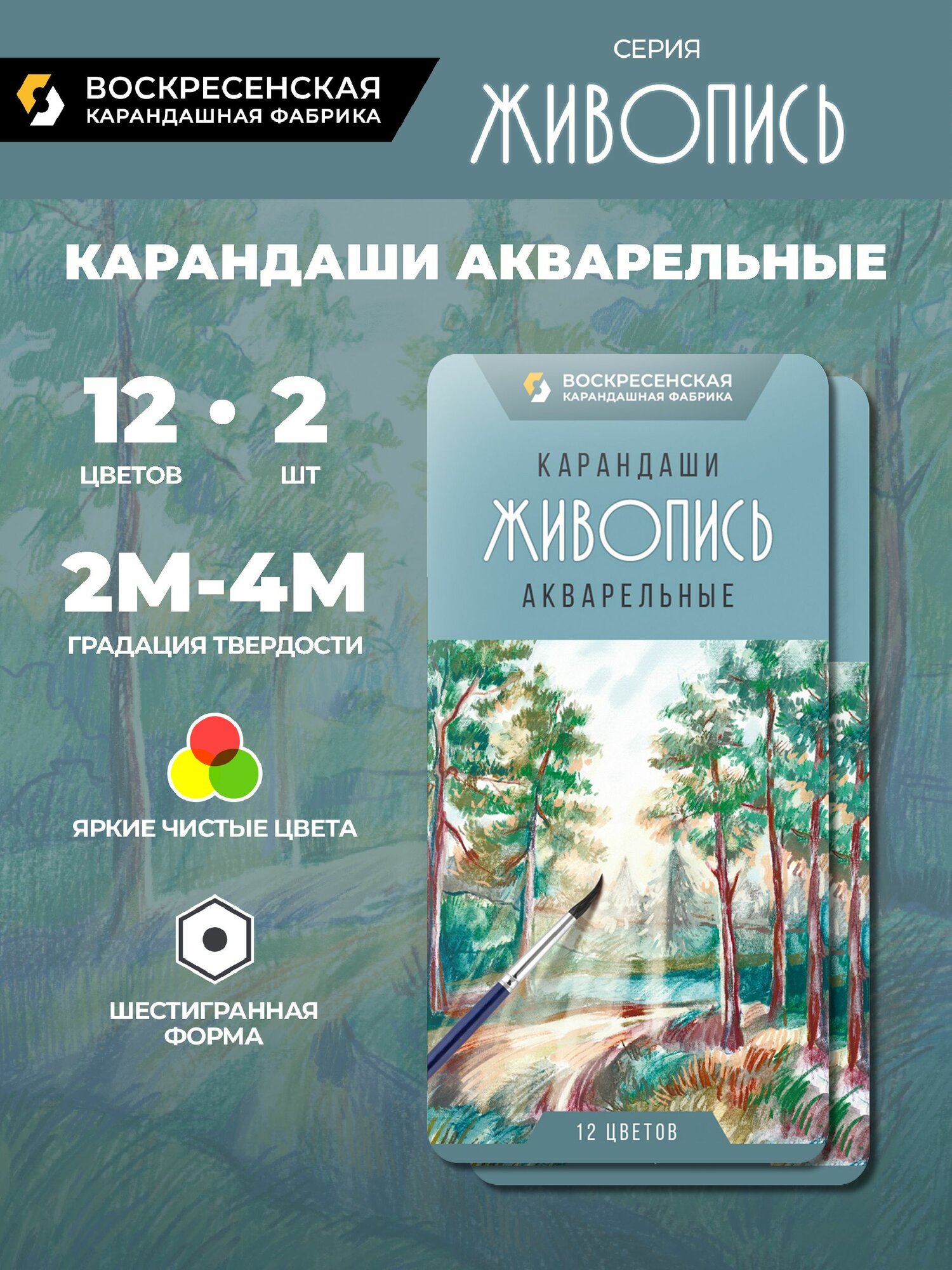 ВКФ карандаши акварельные Живопись, заточенные, набор 2 упаковки по 12 цветов, JIV-WCPM-1012