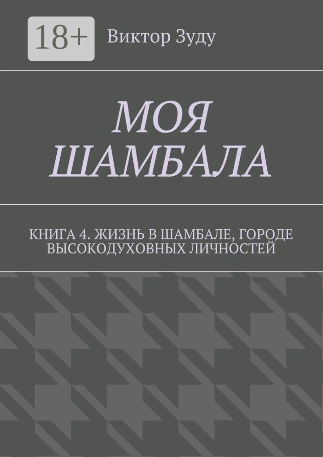Моя шамбала. Книга 4. Жизнь в шамбале, городе высокодуховных личностей [Цифровая книга]
