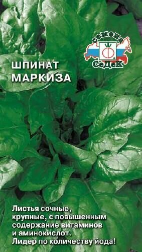 Шпинат Маркиза (Седек)