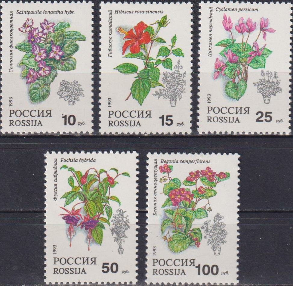 Почтовые марки Россия 1993г. "Комнатные растения" Цветы MNH