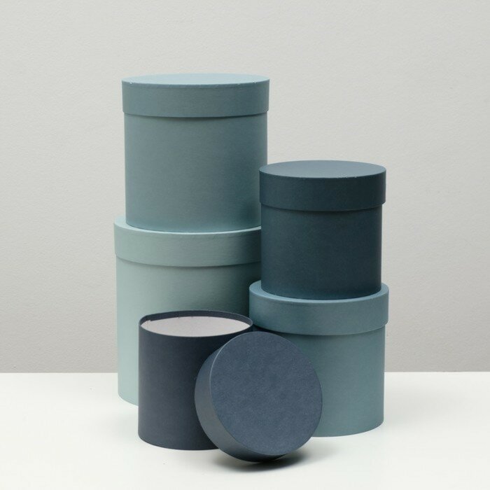 Набор круглых коробок 5 в 1 Барракуда 23×23×25-15×15×15 см