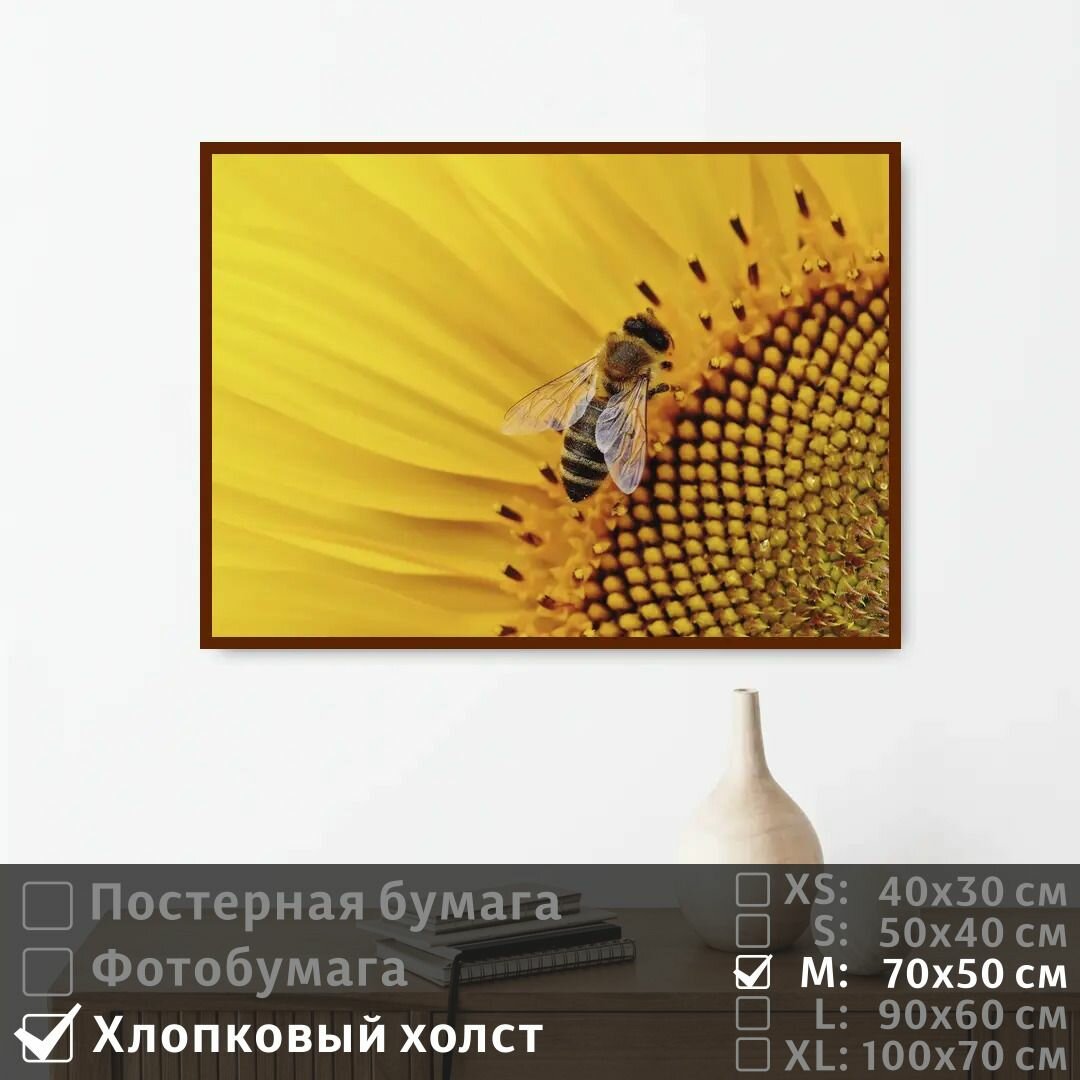 Постер на холсте Пчела В Подсолнухе 70х50 см ПолиЦентр