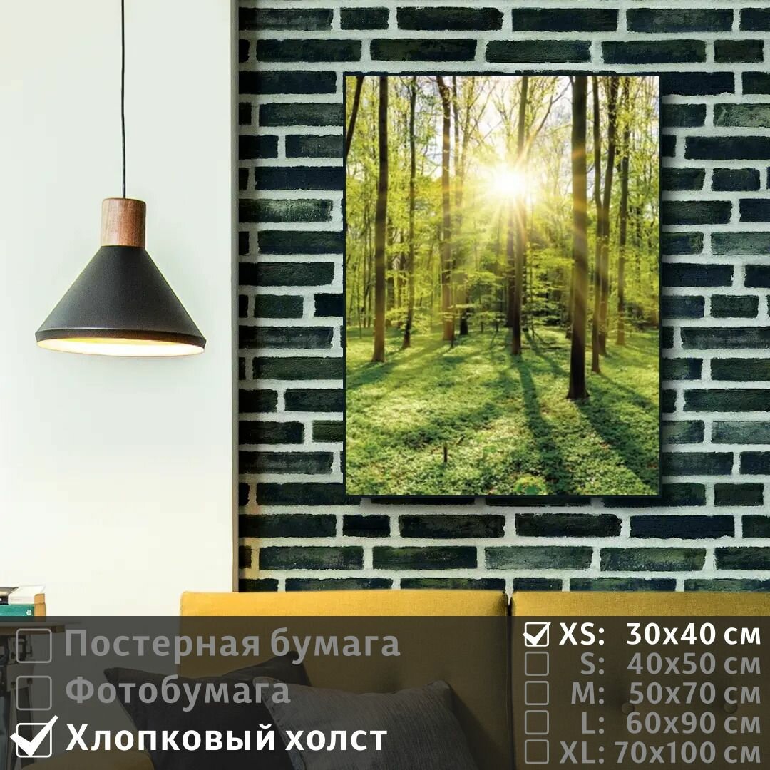 Постер на холсте Лучи Утреннего Солнца В Весеннем Лесу 30х40 см ПолиЦентр