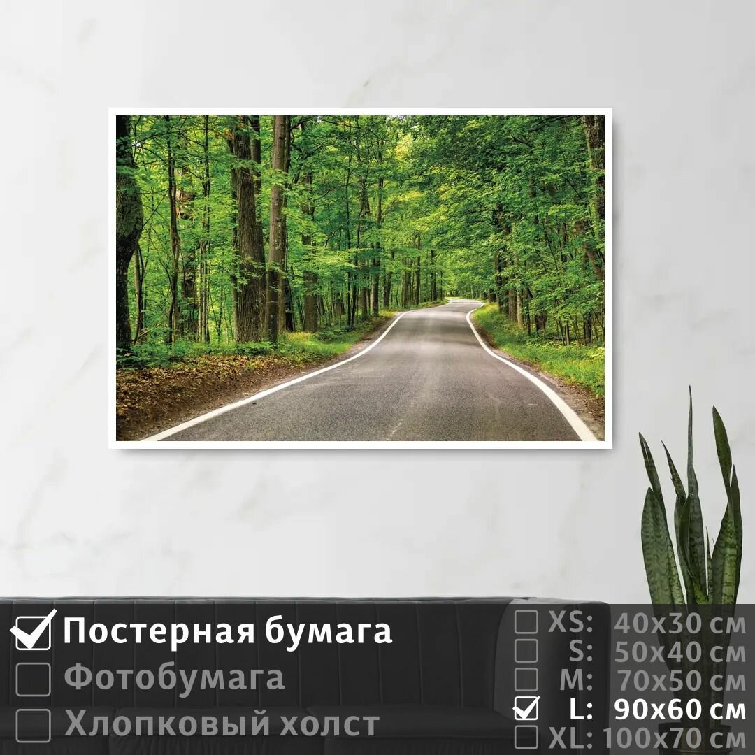 Постер на стену Дорога Уходящая Вдаль В Летнем Лесу 90х60 см ПолиЦентр