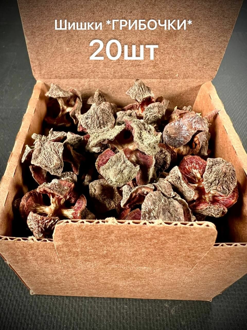 Шишки в форме грибочков, фракция 1-3 см, 20шт