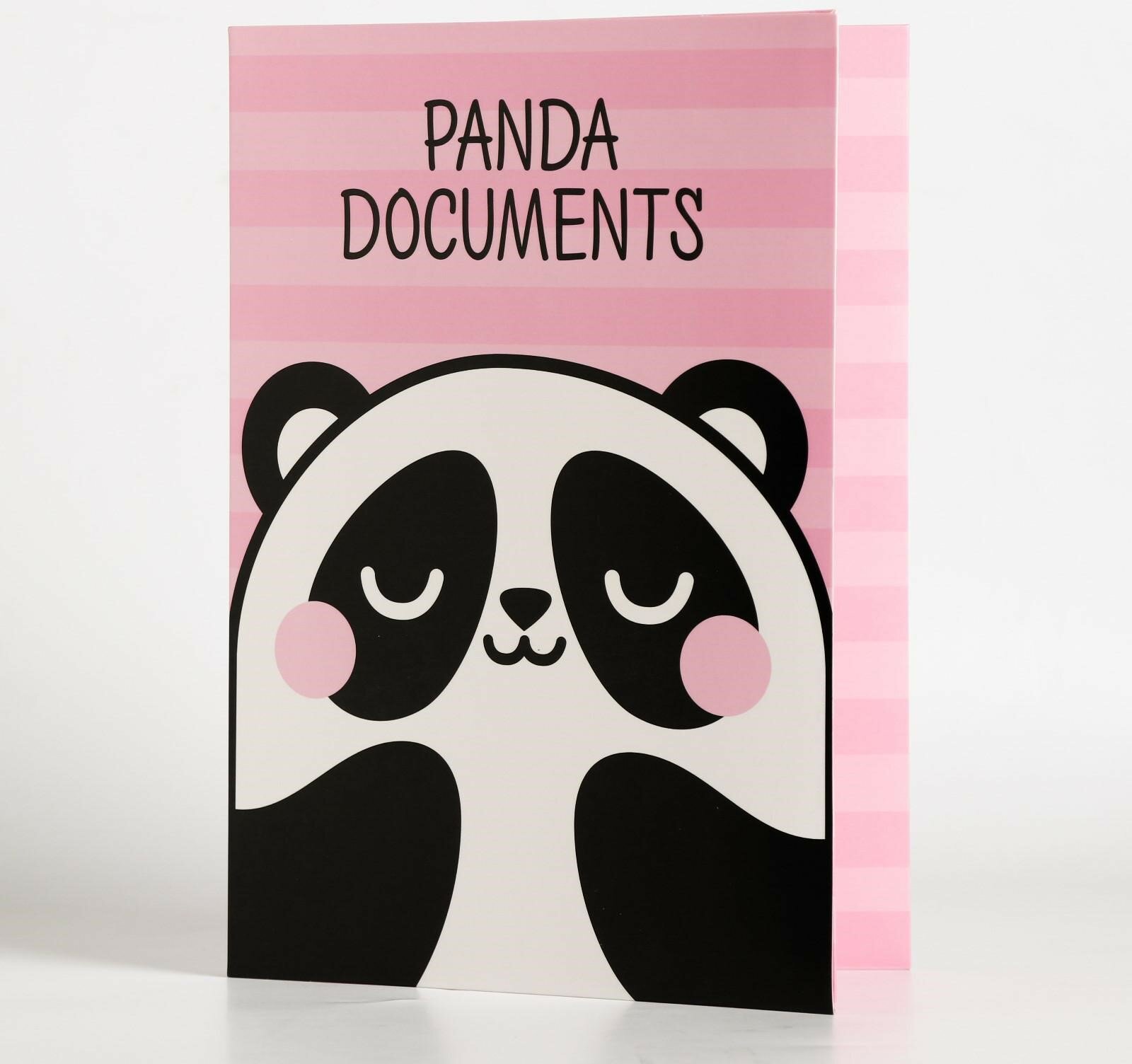 Документница для личных документов