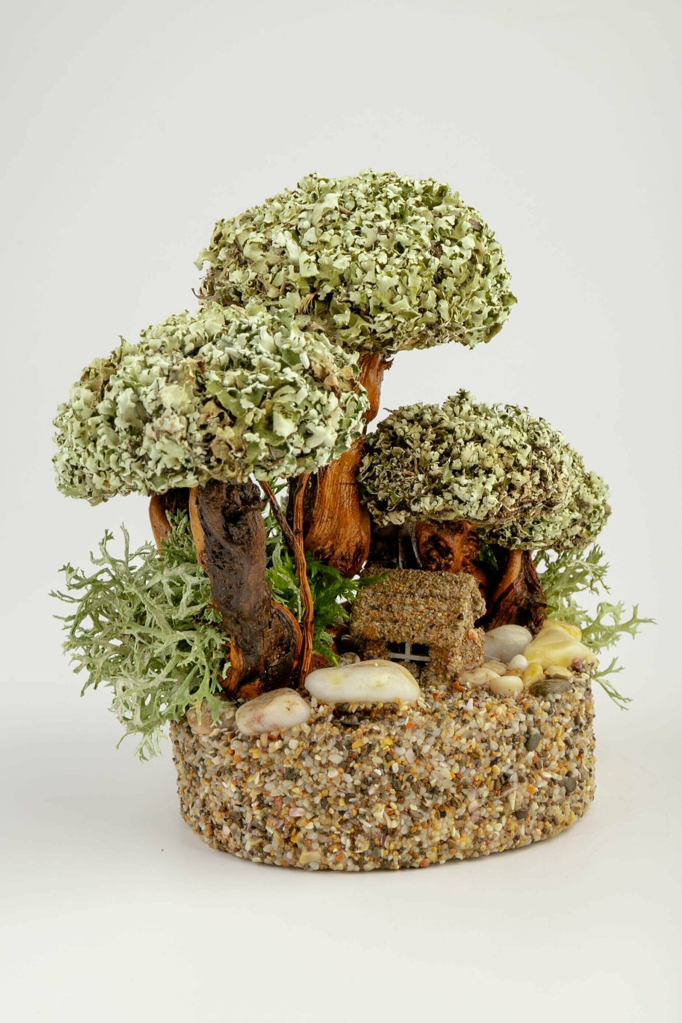 Живое дерево из исландского мха цетрария "Семья" 13 см