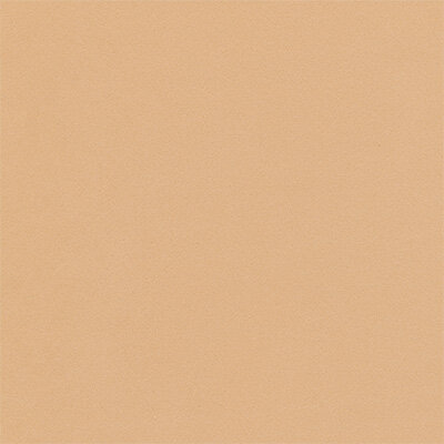 Пластичная замша "Mr.Painter" FOAM-2 2 мм 50 x 50 см ± 3 см 18 бежевый