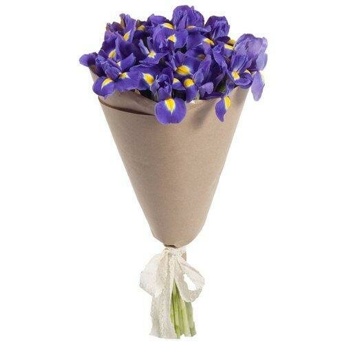 Букет из 15 Ирисов в крафте под белую ленту "Руслан и Людмила"