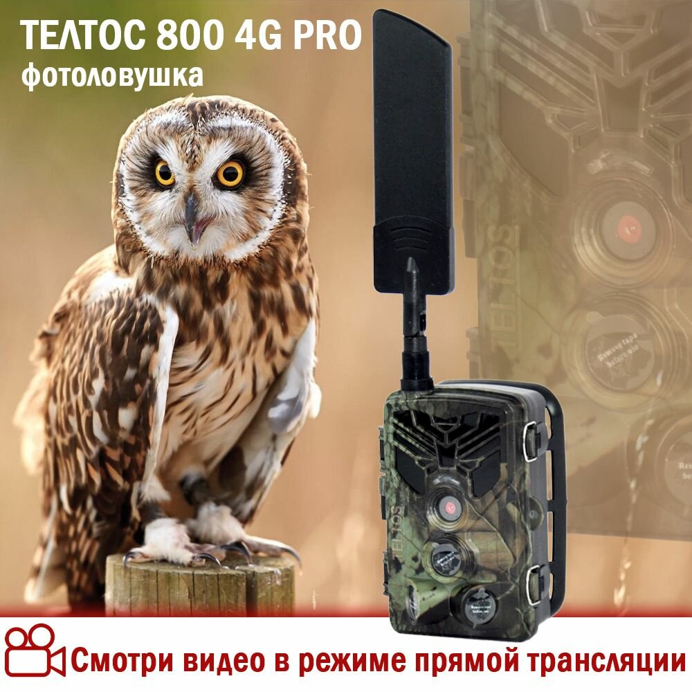 Фотоловушка "Телтос 800 MMC 4G PRO 60" для охоты, охраны дома или дачи.