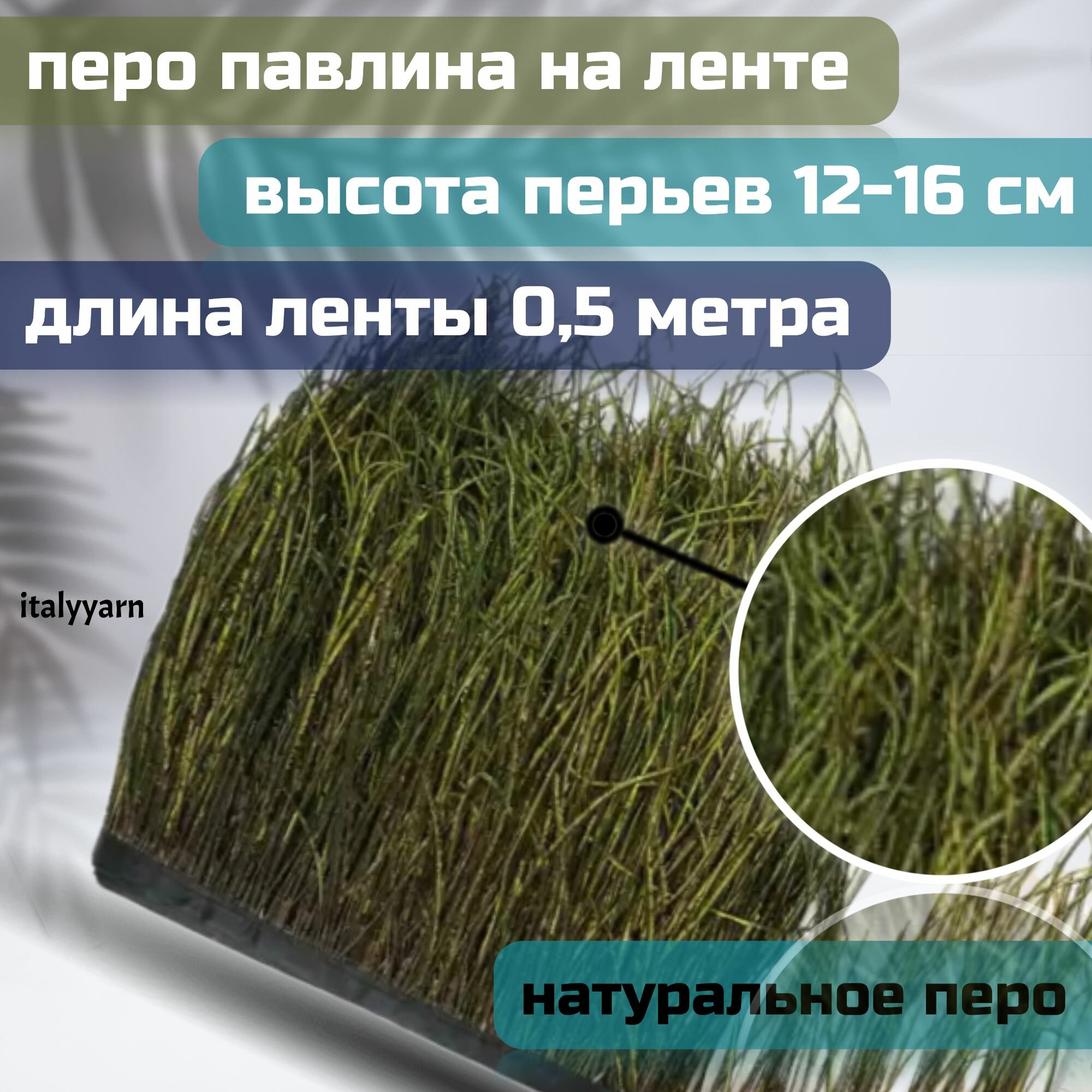 Перья павлина на ленте; лента 0,5 метра с натуральными перьями павлина 12-16 см, боковая часть пера; italyyarn