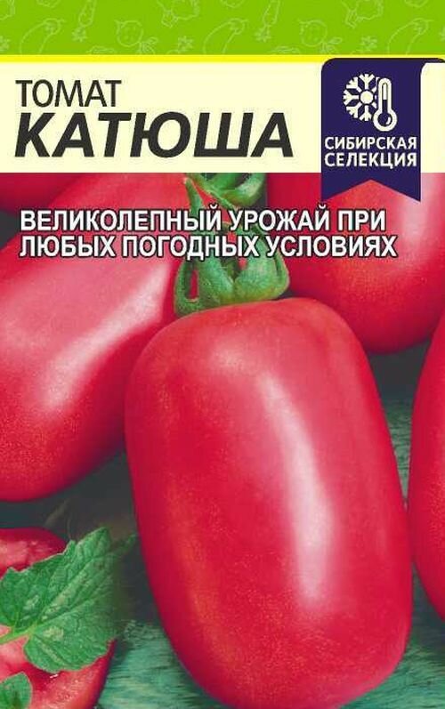 Семена растения томат катюша
