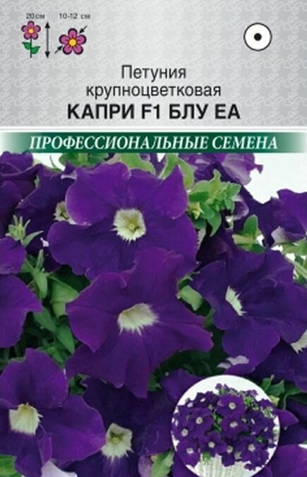 Петуния крупноцветковая Капри блу Еа F1