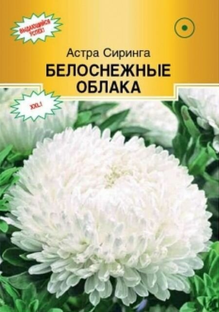Семена растения астра сиринга белоснежные облака