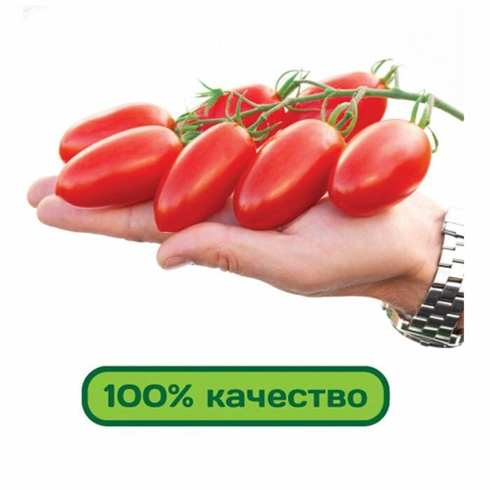 Семена Томат Джек Пот F1 5 шт.