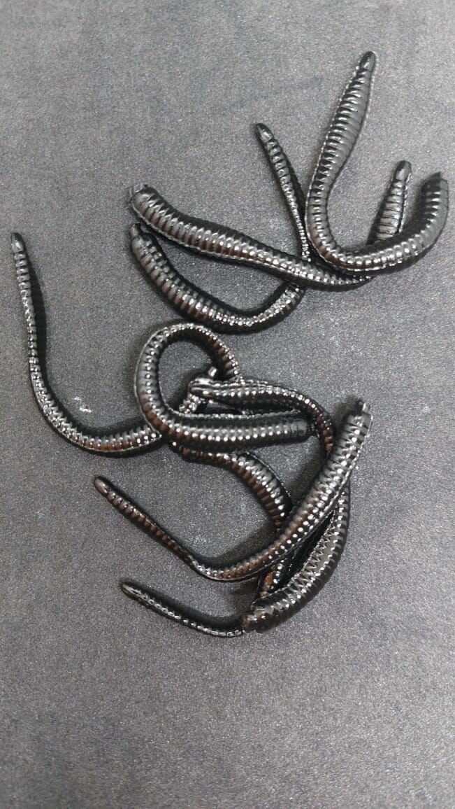 Силиконовые сьедобные приманки "Бобровый хвост". цвет Черный