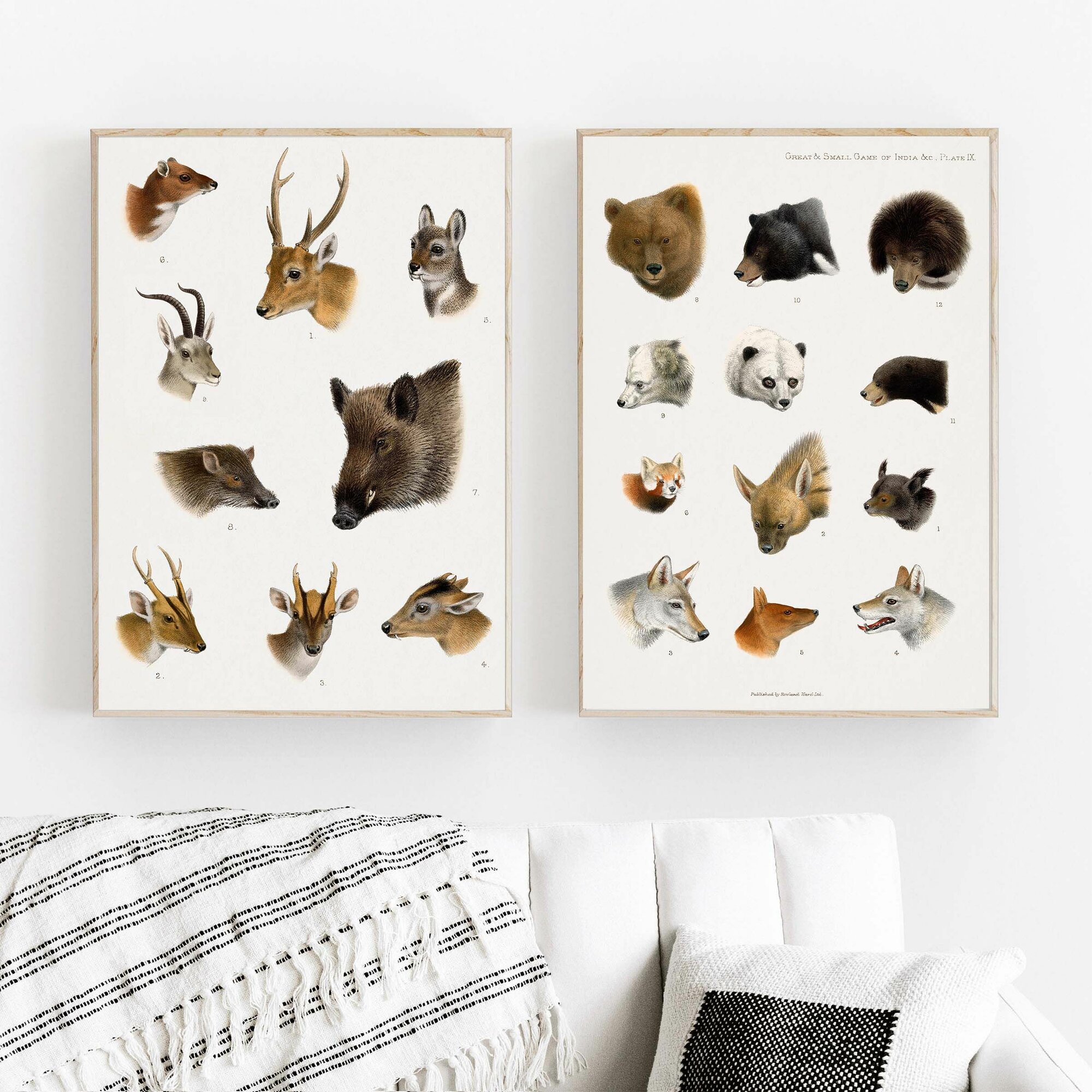 Набор интерьерных постеров Дикие животные, без рамок, размер А3