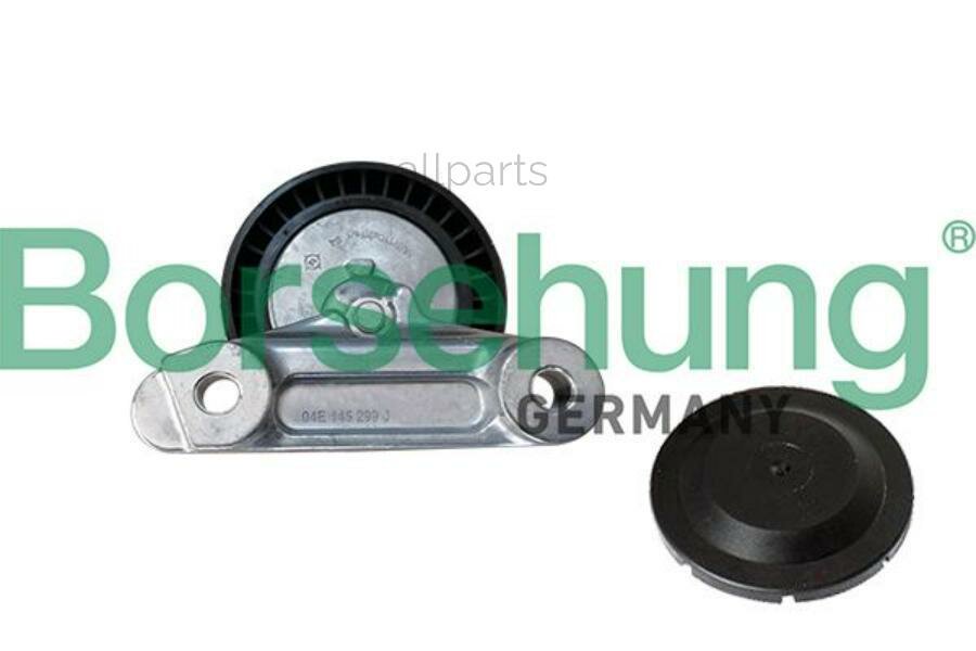 BORSEHUNG B12202 Ролик ремня с колпачком