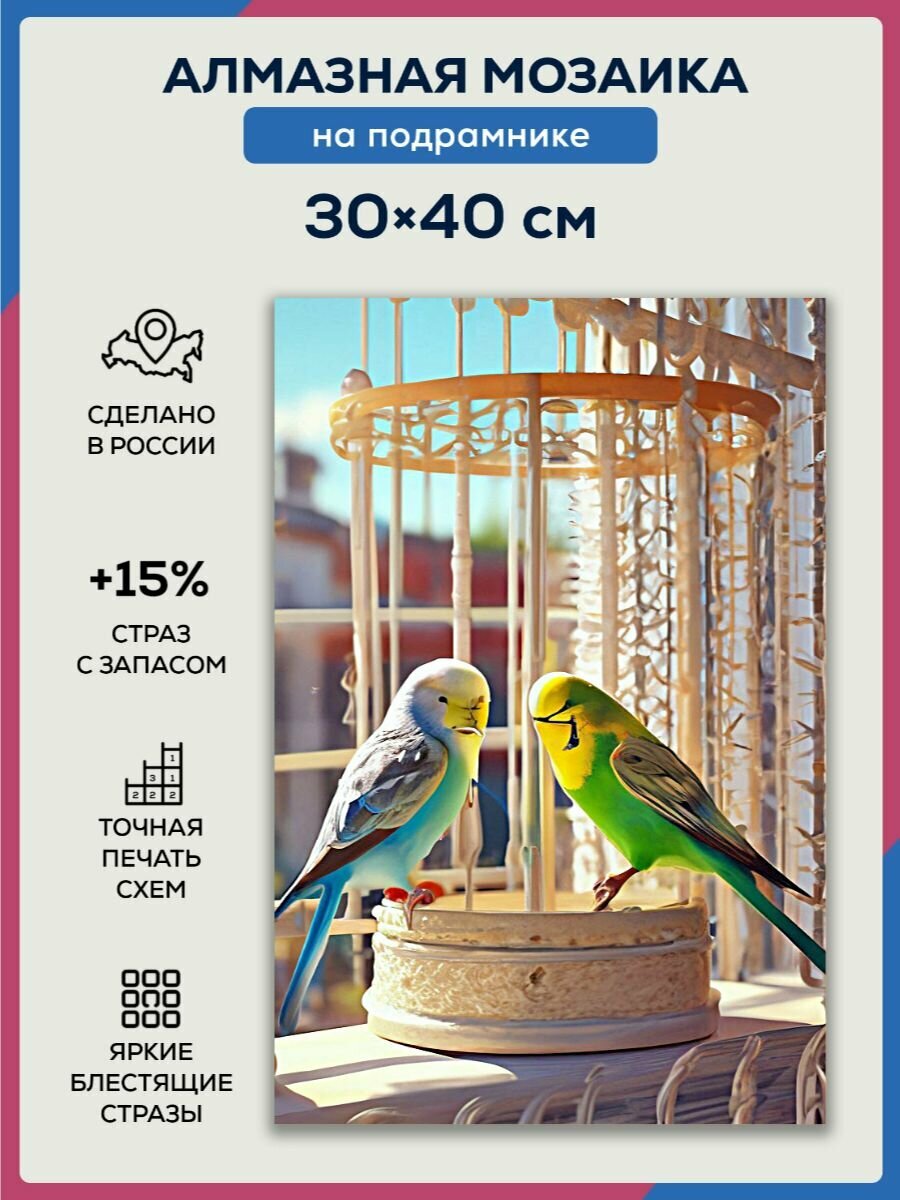 Алмазная мозаика 30x40 Волнистые попугаи на подрамнике