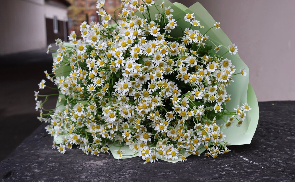 Букет из 25 полевых ромашек