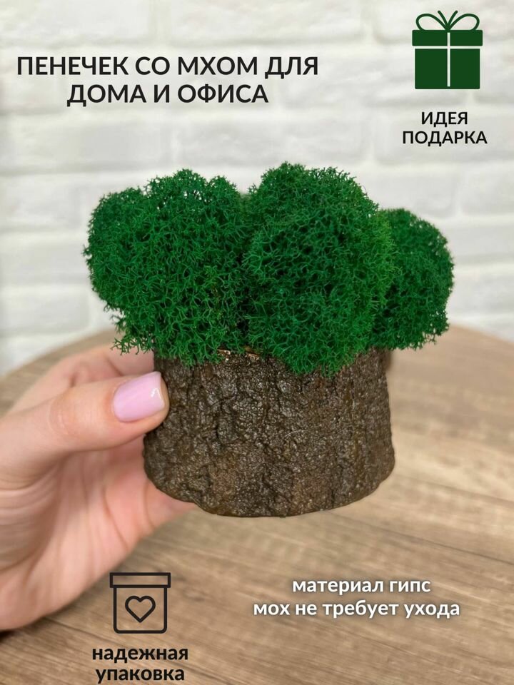 Пенек со стабилизированным мхом