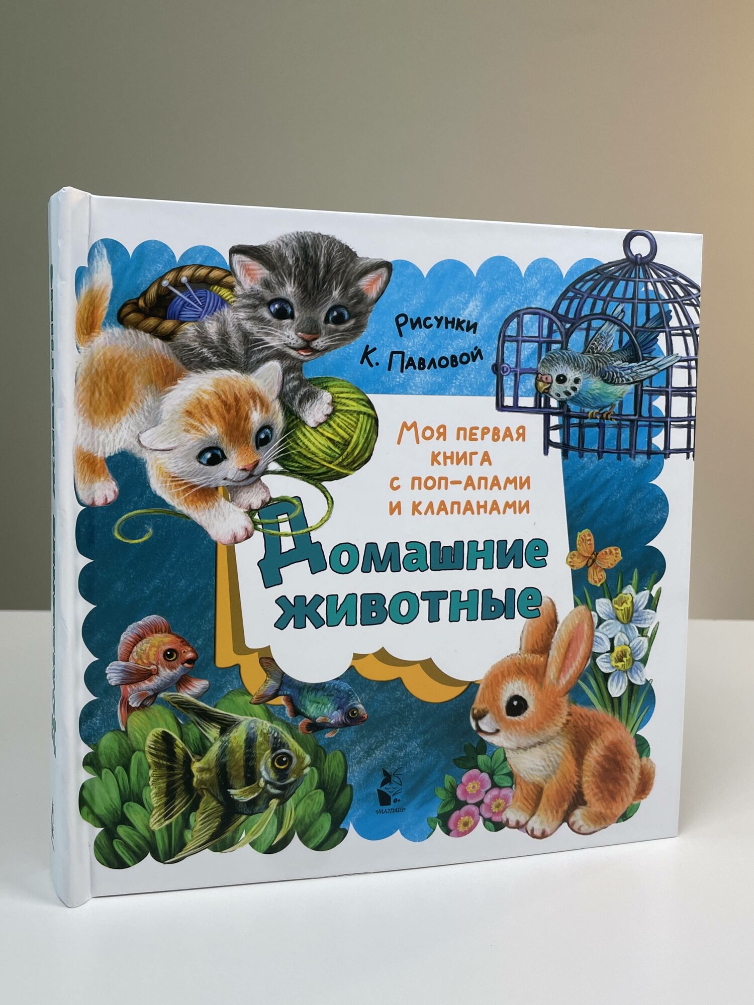 Домашние животные Пикулева Н. В.