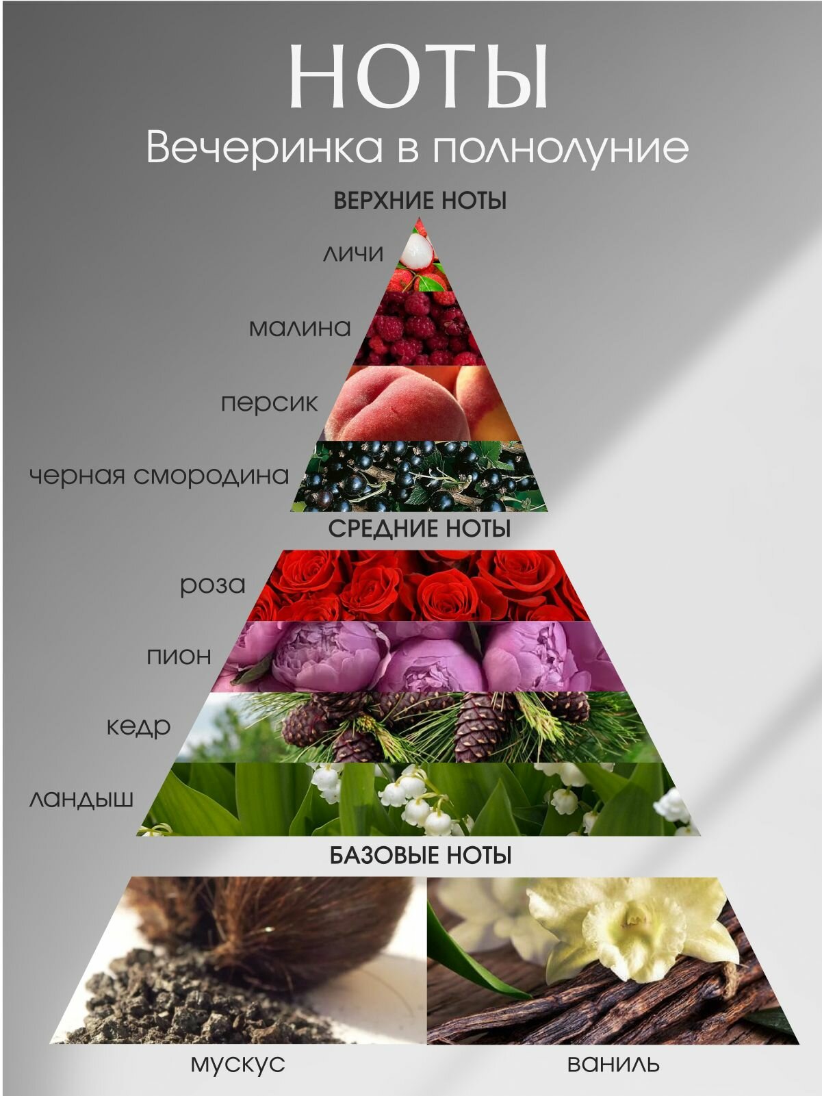 Ароматизатор MIRASTRO HOME "Вечеринка в полнолуние", для авто, подвесной, 7 мл — фото 1